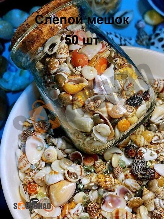 50 шт/Набор сюрпризов в ракушке для детей / Творческий подарок для школьников