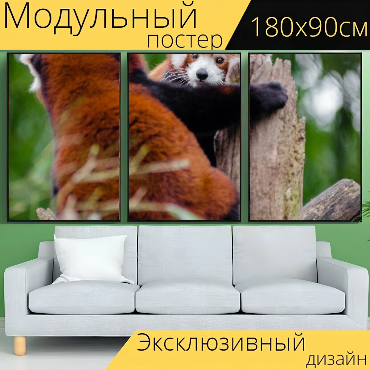 Модульный постер "Пара красных панд, Знакомства Фон Природа и животные, обои, фон, фото Free, Public Domain Изображение панда." 180 x 90 см. для интерьера на стену в тубусе