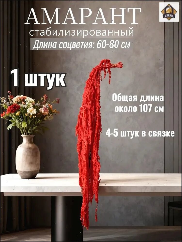 Стабилизированные цветы Амарант 107 см, 80 см, 1 шт