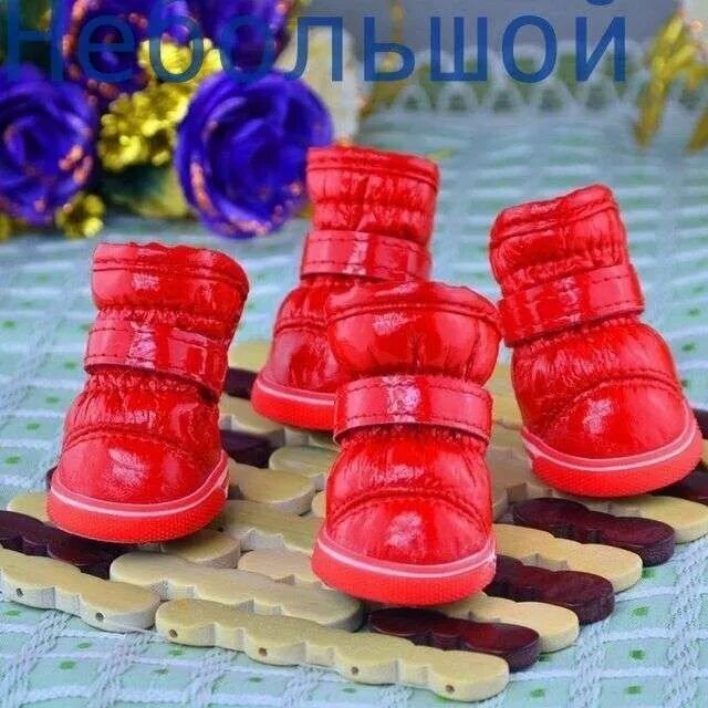 Кеды для собак Freedogs (размер 2)