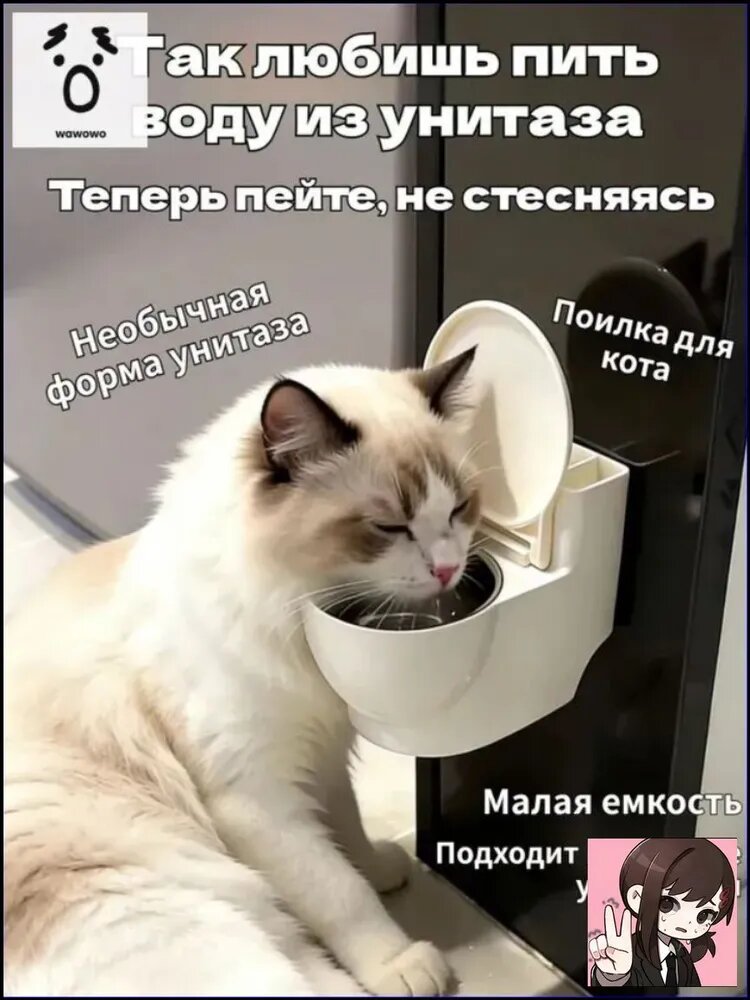 Поилка для кота подвесная кошачий кормушок в форме унитаза