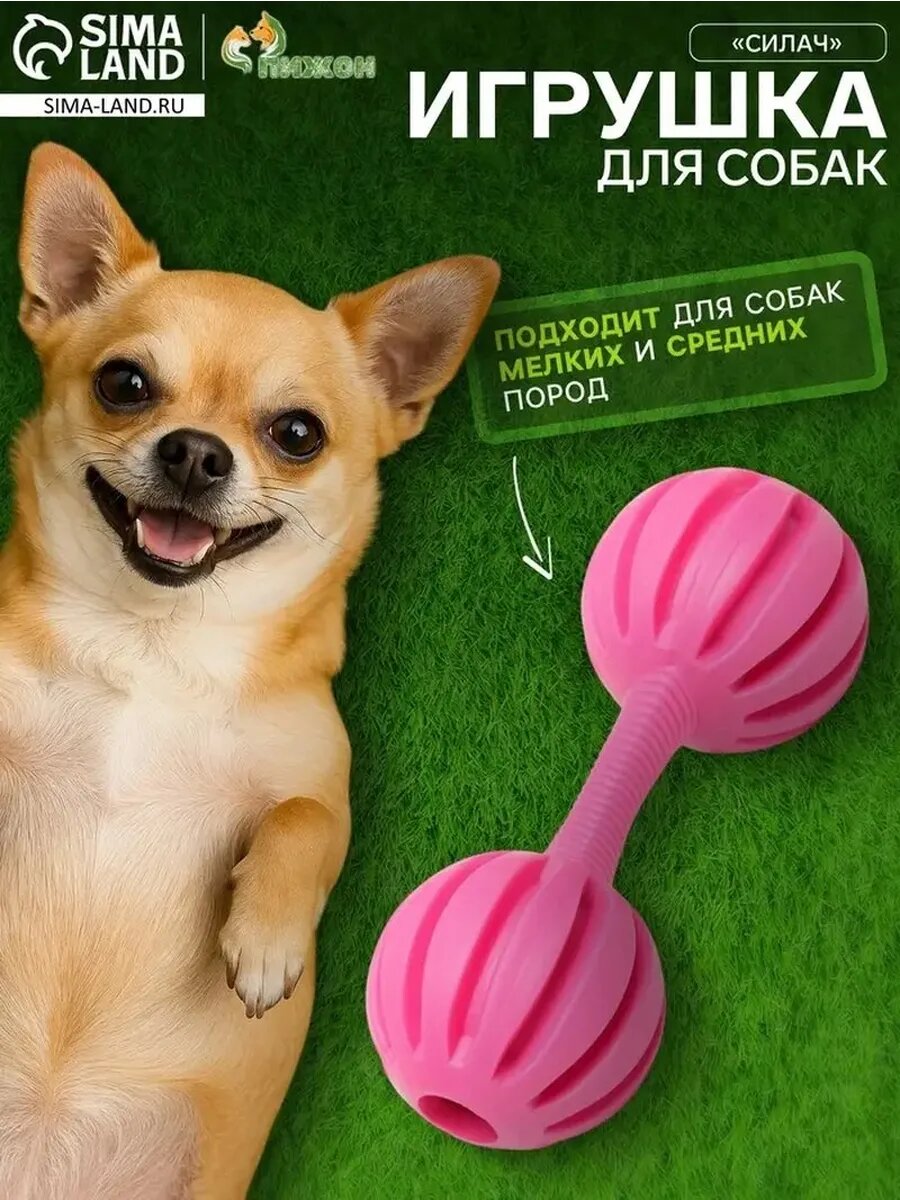 Игрушка для собак 'Малыш-энерджайзер'