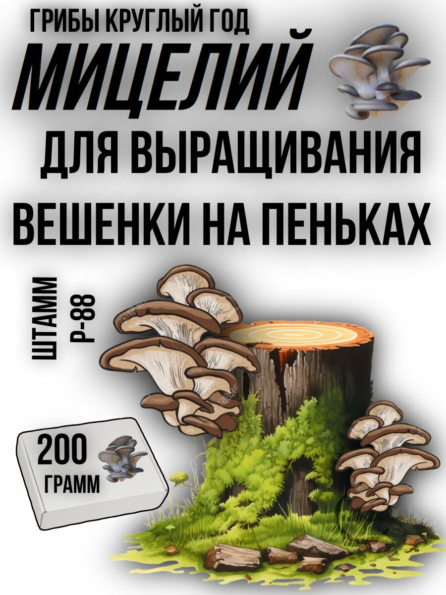 Мицелий Вешенки для посадки на пеньки 200 г
