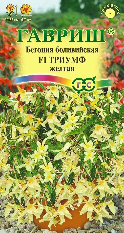 Семена бегонии Гавриш Триумф желтый, боливийская, 5 шт 1071857180
