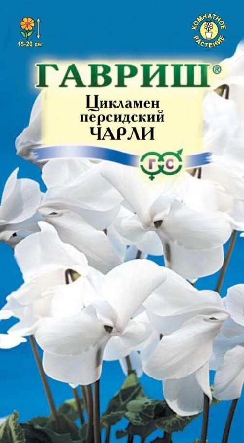 Семена цикламена Гавриш Чарли, многолетний клубневый, 3 шт 002484