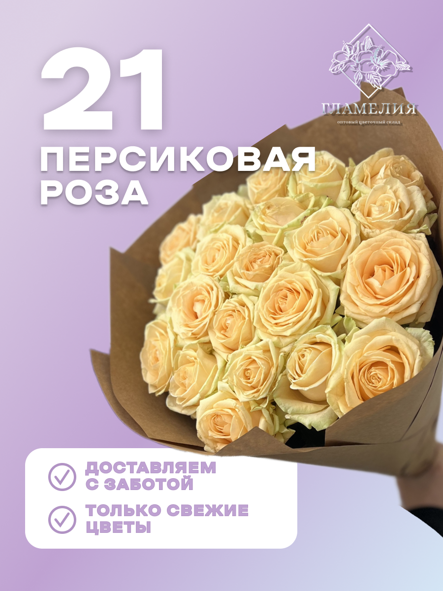 Гламелия цветы «Персиковая лавина»: 21 роза Peach Avalanche в крафте – купить свежие цветы с доставкой в Москве