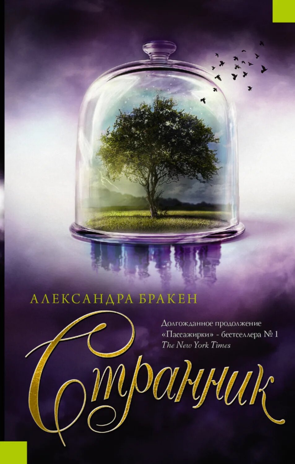 Странник [Цифровая книга]