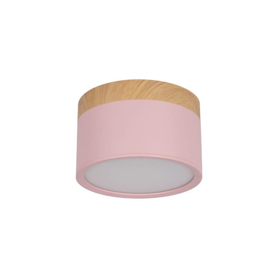 10162 Pink Накладной светильник LOFT IT Grape