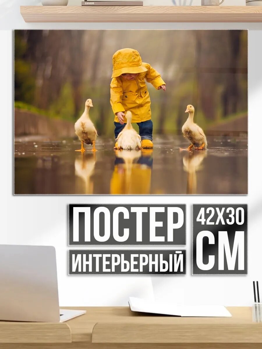 Плакат постер Ребенок и утки