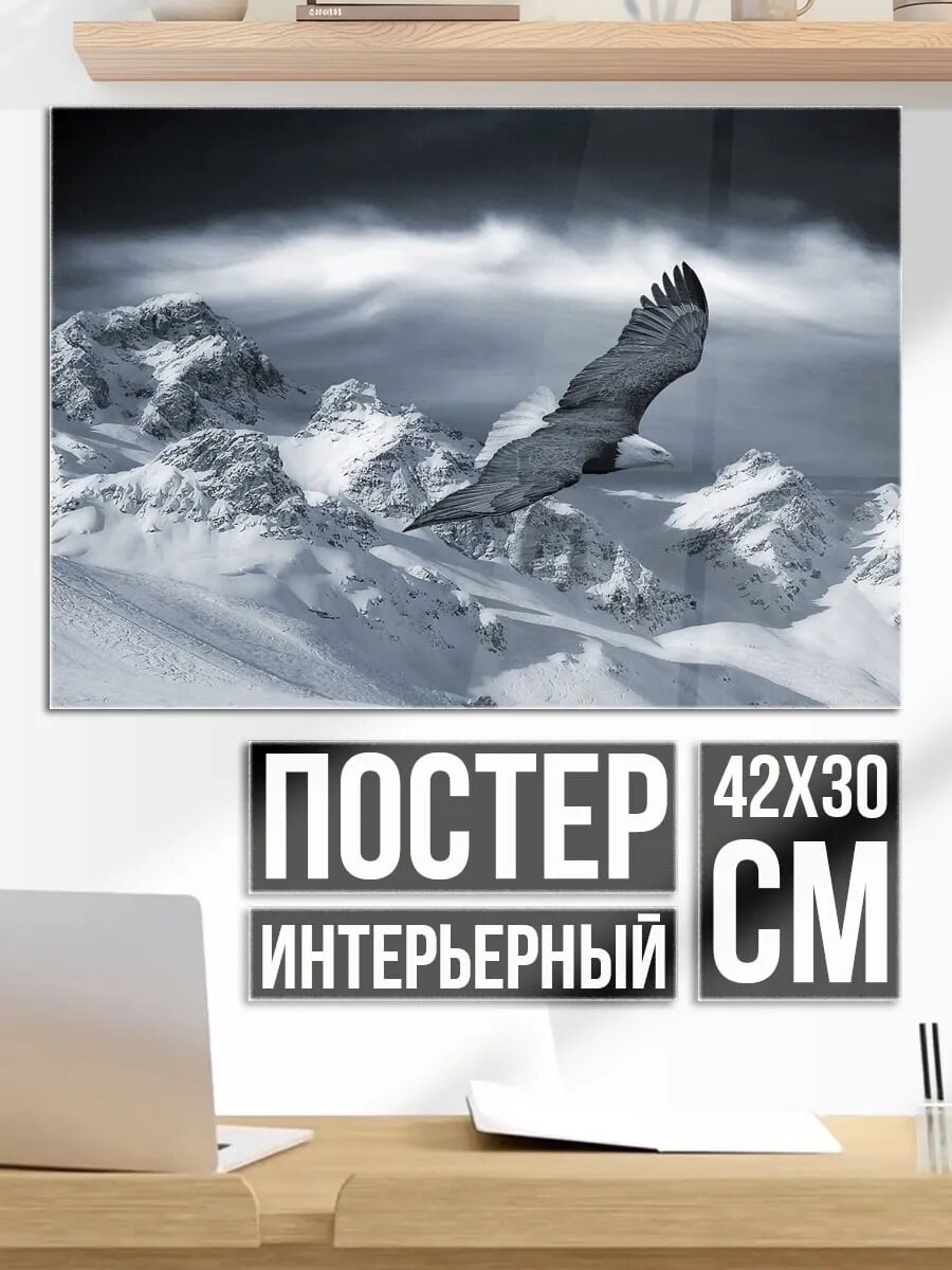 Плакат постер Орёл над горами