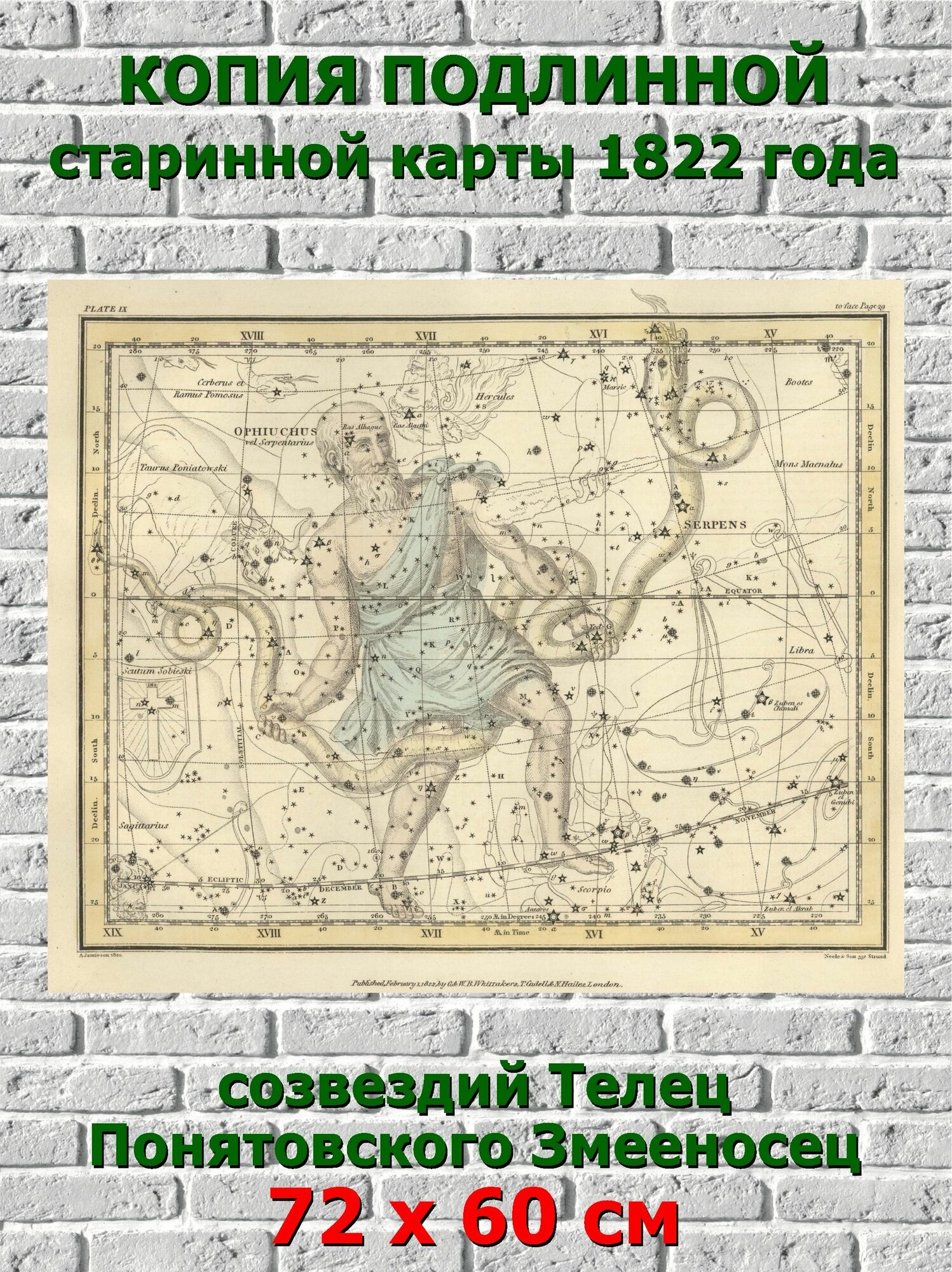 Старинная Карта созвездий. Телец Понятовского, Змееносец. (репринт карты 1822 года).