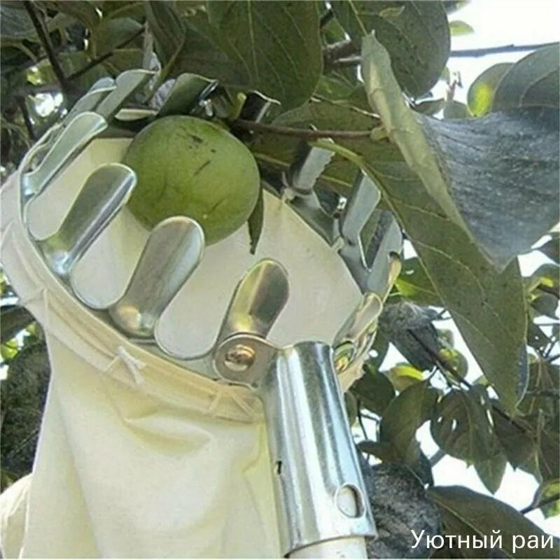 Плодосборник
