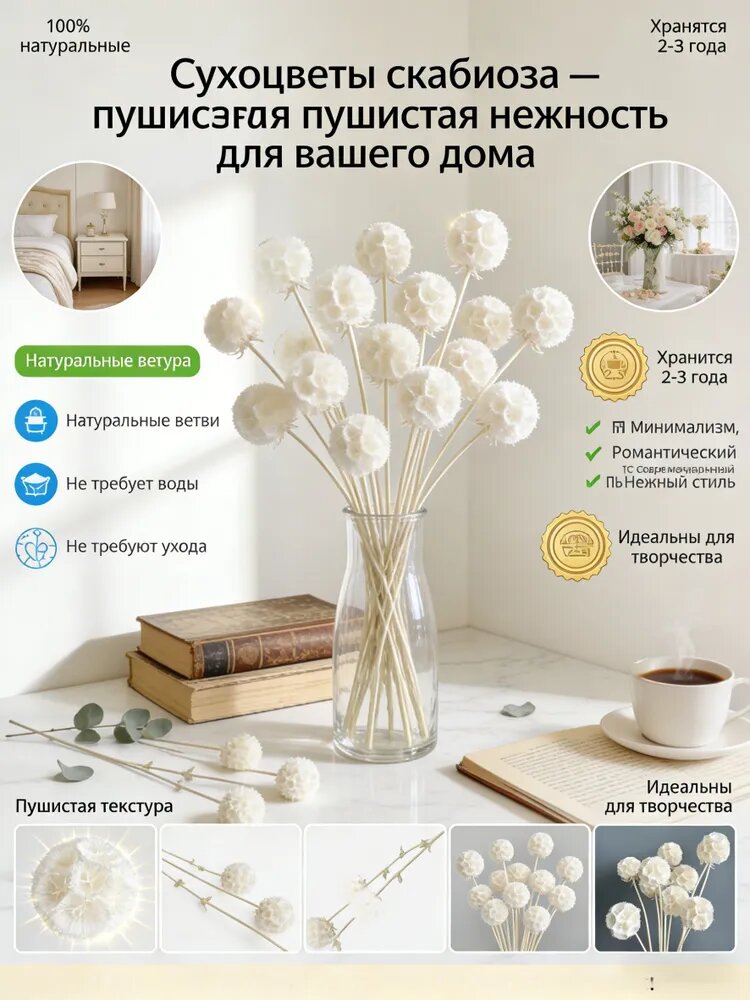 Сухоцветы Стрептокарпус, 25 см, 150 гр, 10 шт