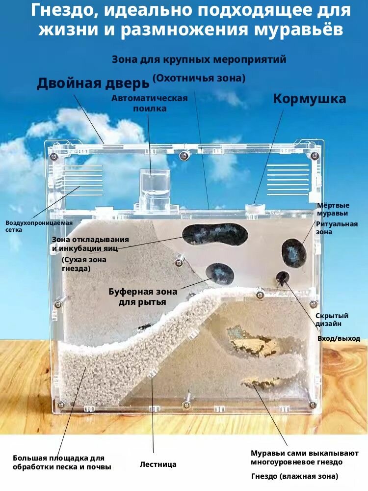 Акриловое муравьиное песочное гнездо