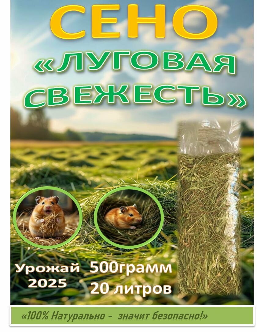 Сено 500 гр. для грызунов, морских свинок, шиншиллы. 2025 года, наполнитель / подстилка травяной впитывающий.