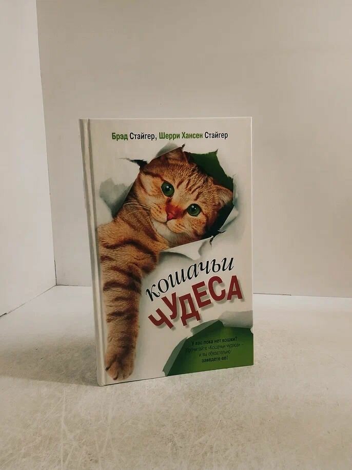 Кошачьи чудеса