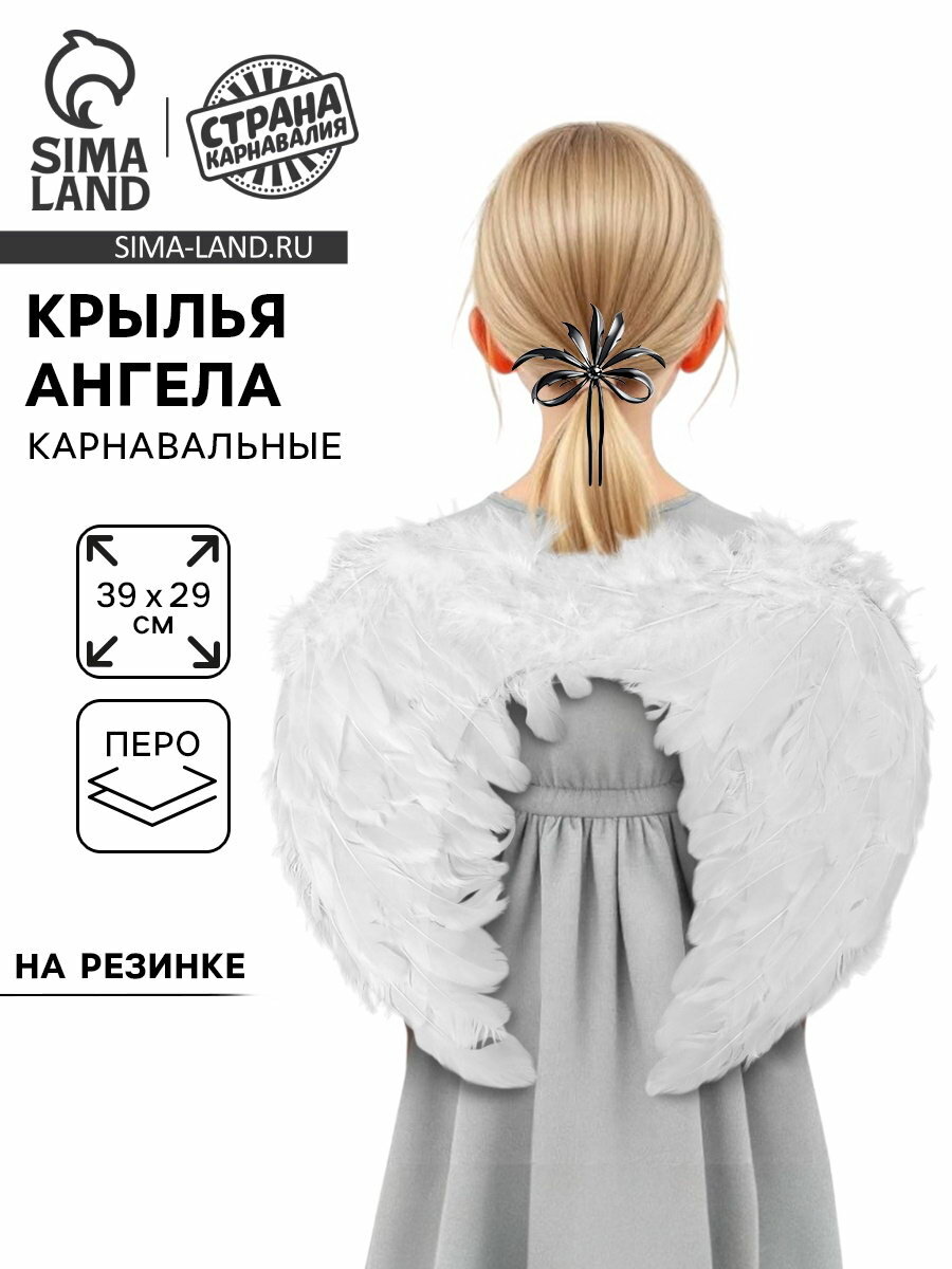 Крылья ангела, на резинке, белые, цвет: белый, вид: крылья, персонажи: ангел