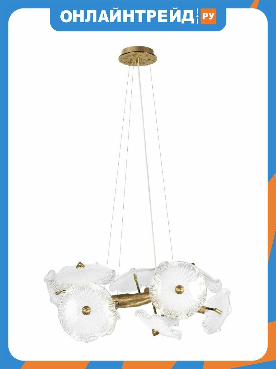 Подвесная люстра Loft IT Bloom 10352/650 AB