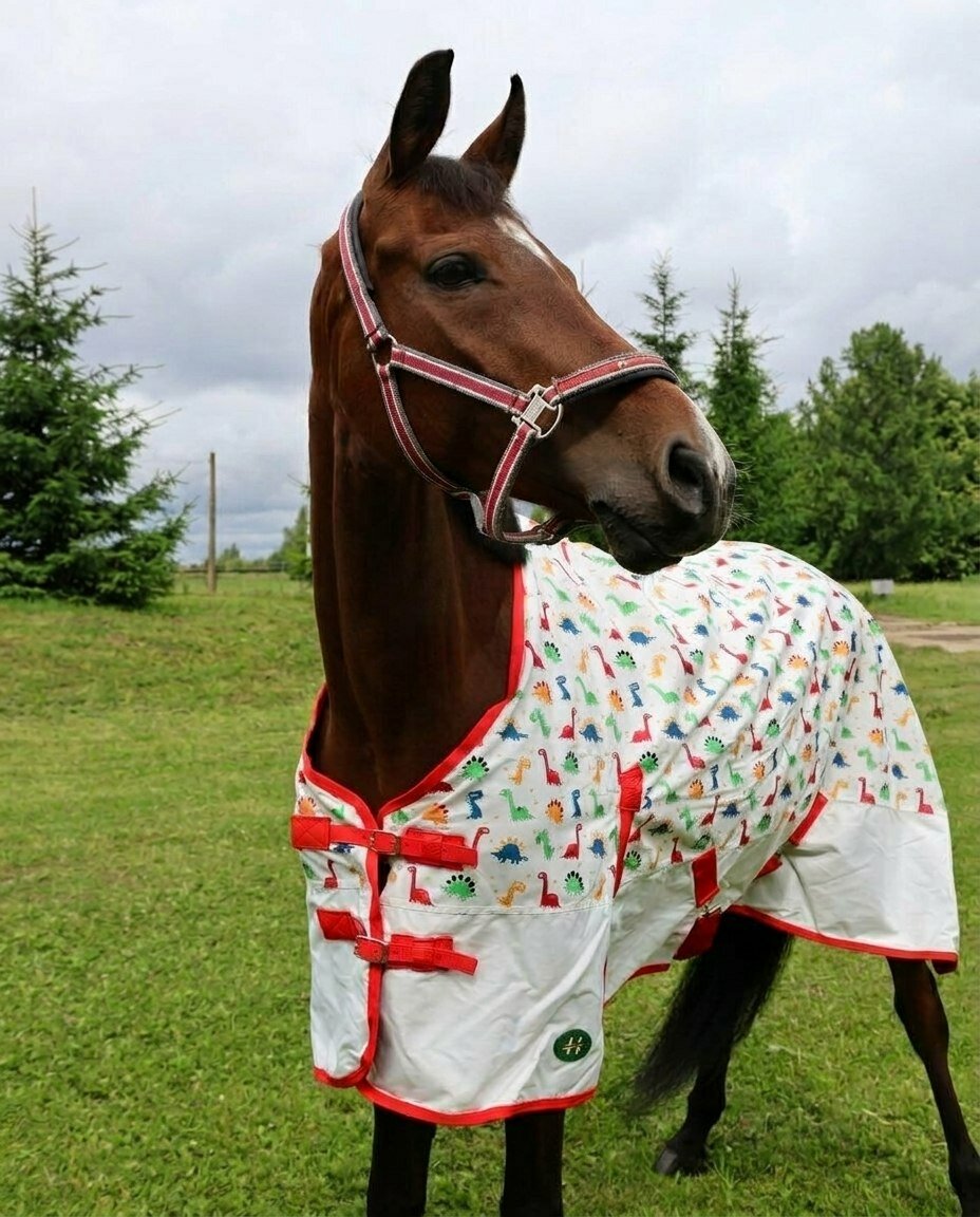 Дождевая попона Дино 50г HorsePlanet