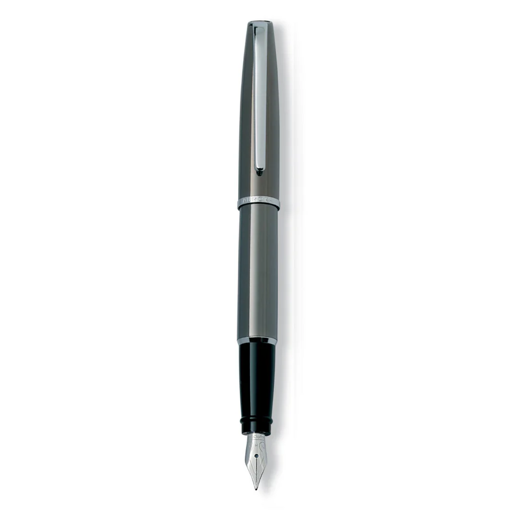 Перьевая ручка Aurora Style Metal Grey CT, перо F, в подарочной коробке E13-F