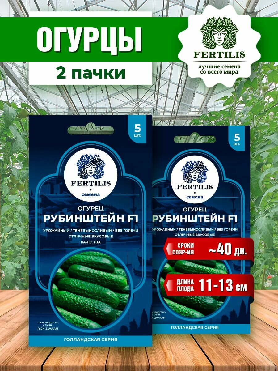 Семена урожайного огурца "Рубинштейн F1" от компании Fertilis (2 пачки)