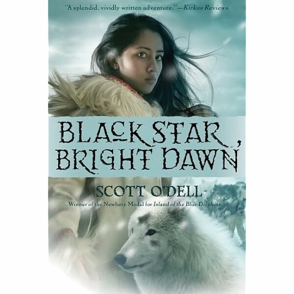 Black Star, Bright Dawn，Reprinted paperback book