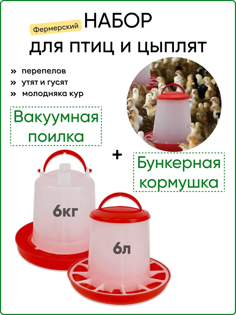 Кормушка для кур бункерная поилка вакуумная для птиц цыплят 6л и 6 кг