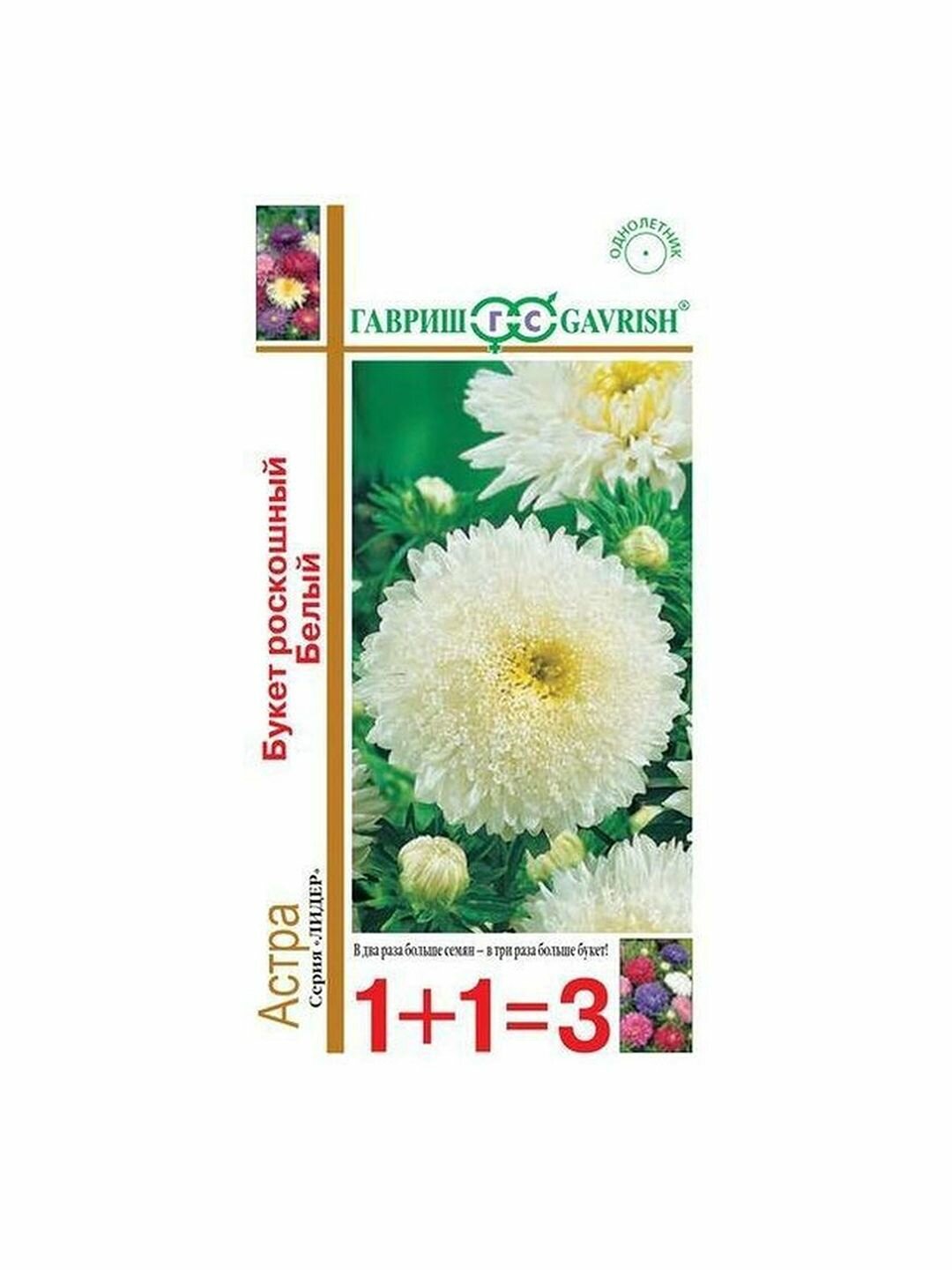 Семена Астра Букет роскошный белый, однолетник, Гавриш - 1+1, 1 пачка - 0.5г семян