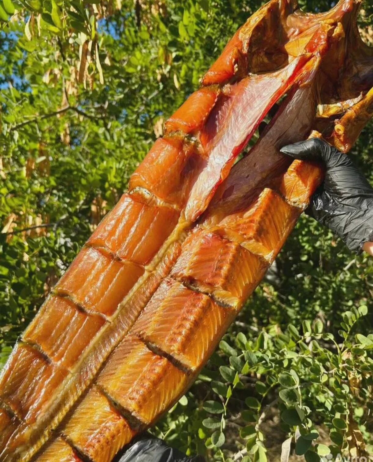 Сом-книжка 2кг. х/к в/уп.