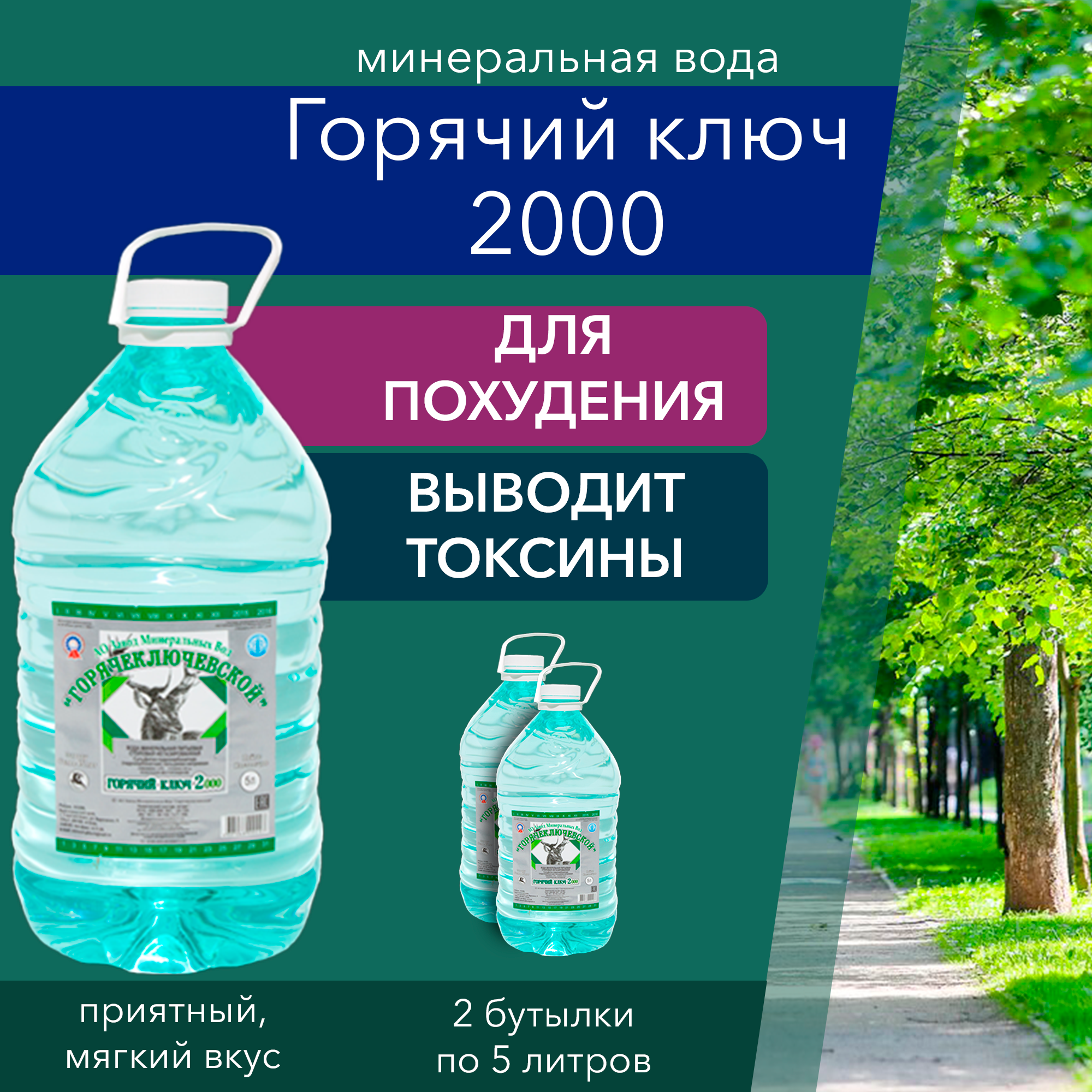 Вода Горячий Ключ 2000. Объем 5л*2. Вода минеральная питьевая негазированная природная лечебная, выводит токсины,