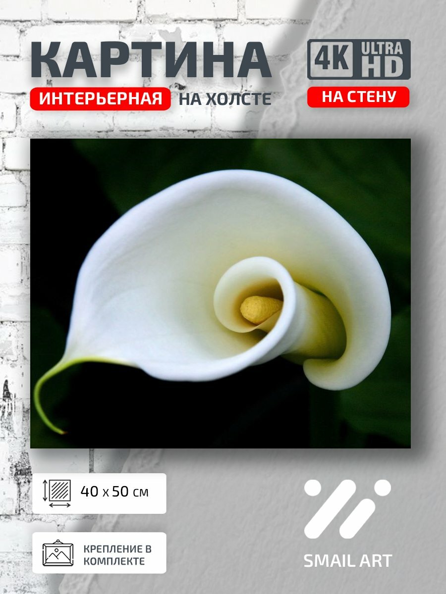 Картина на холсте интерьерная 40 на 50 на стену Пестик Macro для спальни макро интерьер