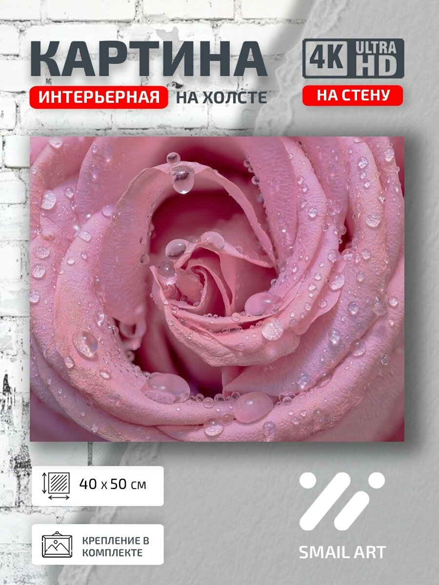Картина на холсте интерьерная 40 на 50 на стену капли розы для спальни атмосфера