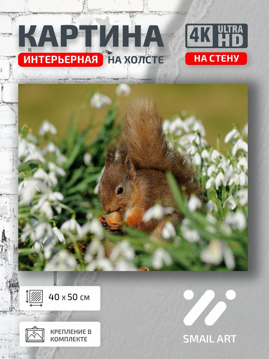 Картина на холсте интерьерная 40 на 50 на стену Белые Landscape для кабинета пейзаж декор