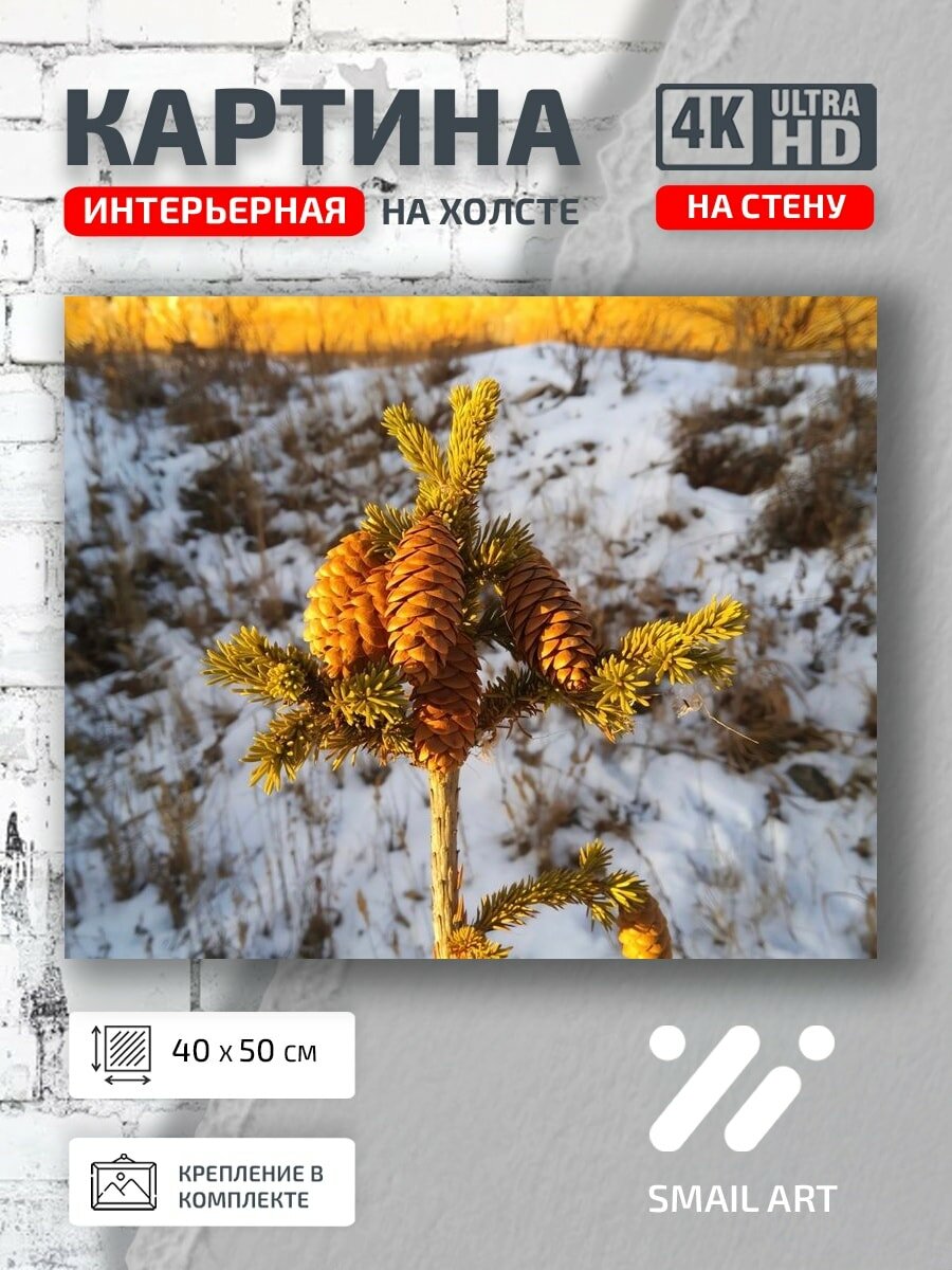 Картина на холсте интерьерная 40 на 50 на стену елка шишки для кафе пейзаж