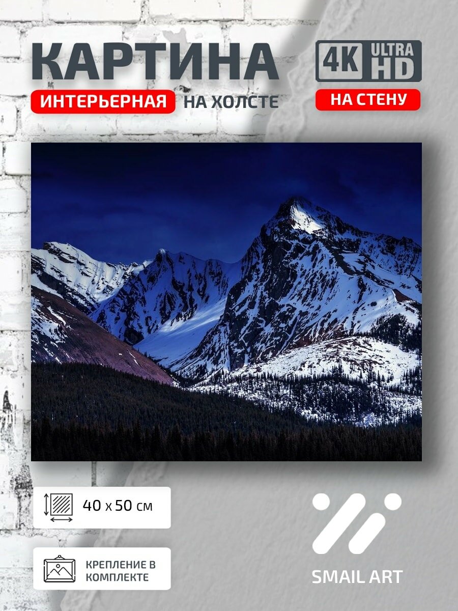 Картина на холсте интерьерная 40 на 50 на стену горы Лес для кабинета пейзаж