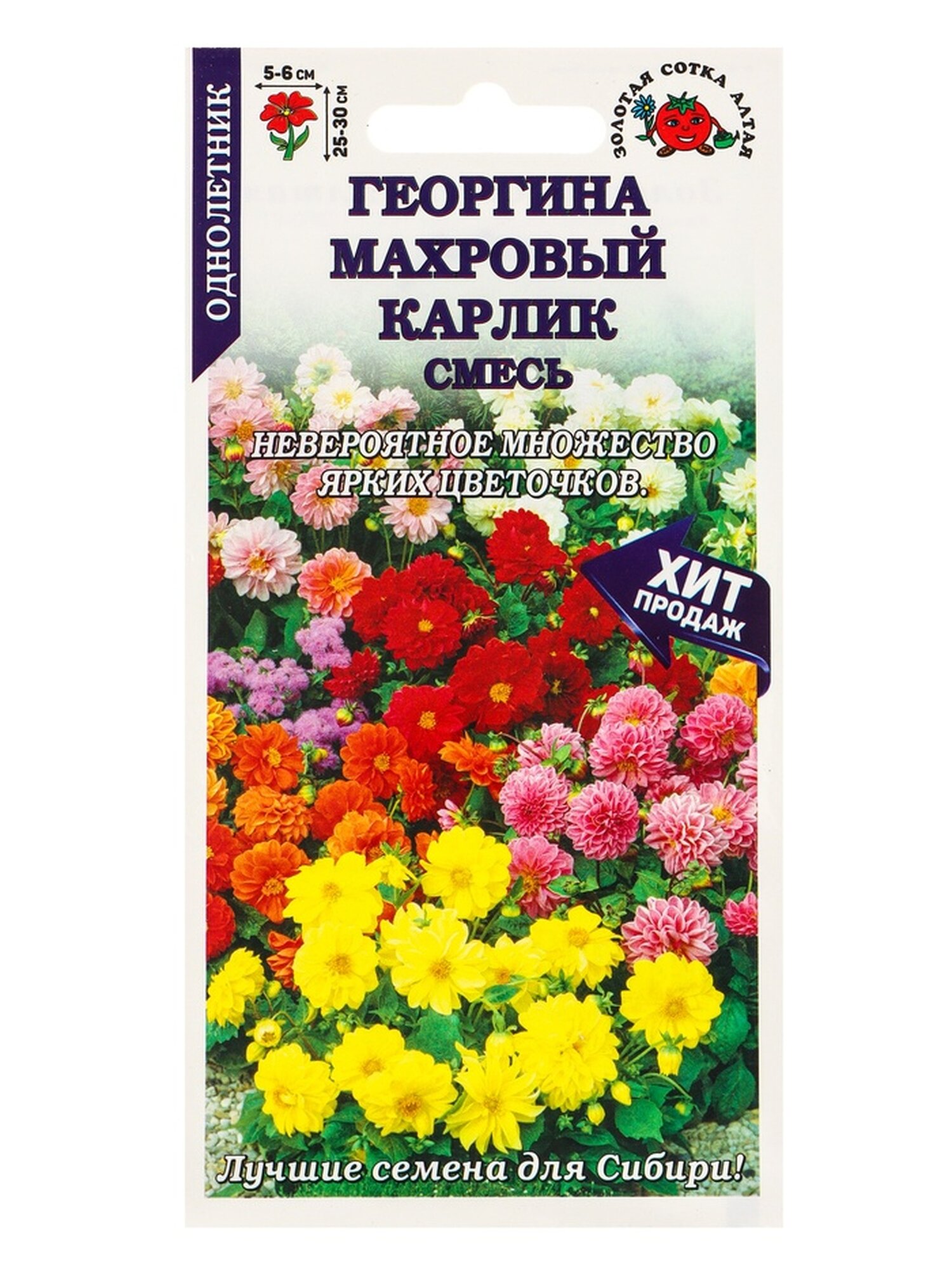 Семена Георгина Махровый карлик смесь /Сотка/ 0,2г/ h-25-30см d-5-6см/*1500 10942329