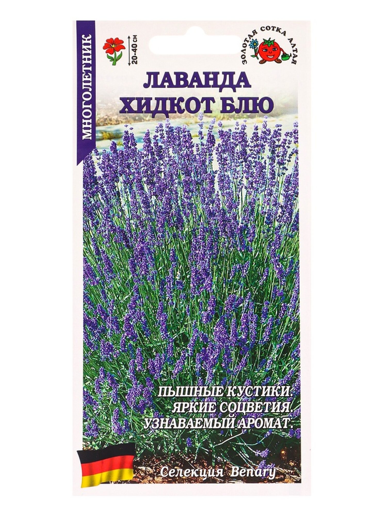 Семена Золотая Сотка Алтая Лаванда "Хидкот Блю", 10 штук, 2000