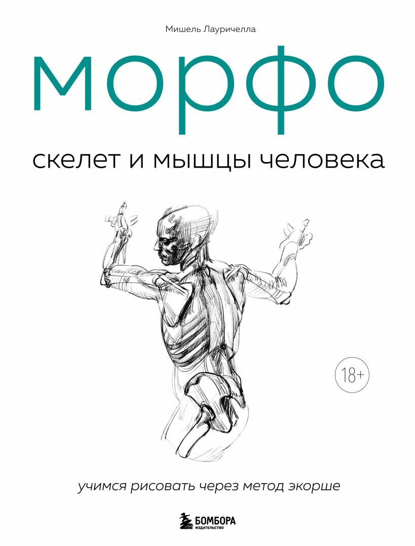 Морфо. Скелет и мышцы человека. Анатомия для художников / Лауричелла М.
