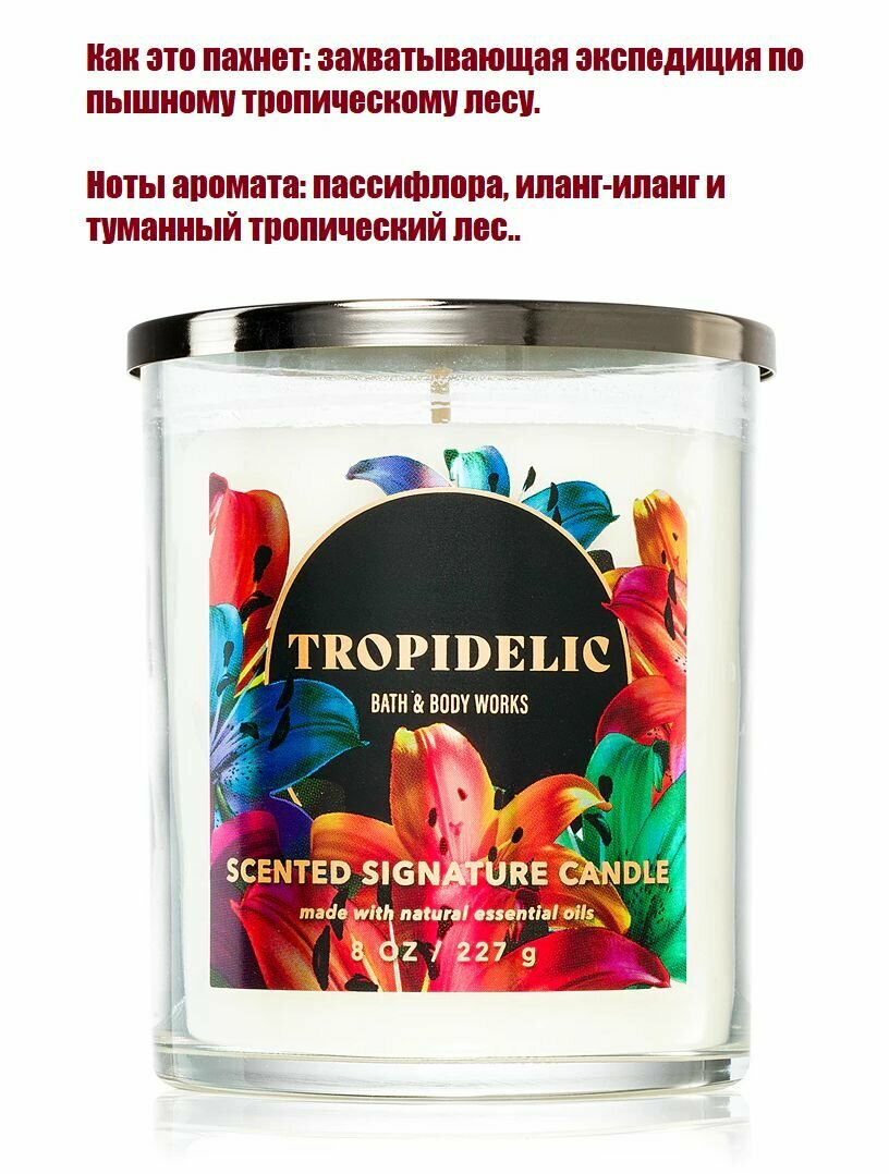 Bath And Body Works ароматическая свеча с 1 фитилем Tropidelic (227грамм)