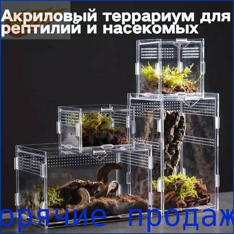 Террариум