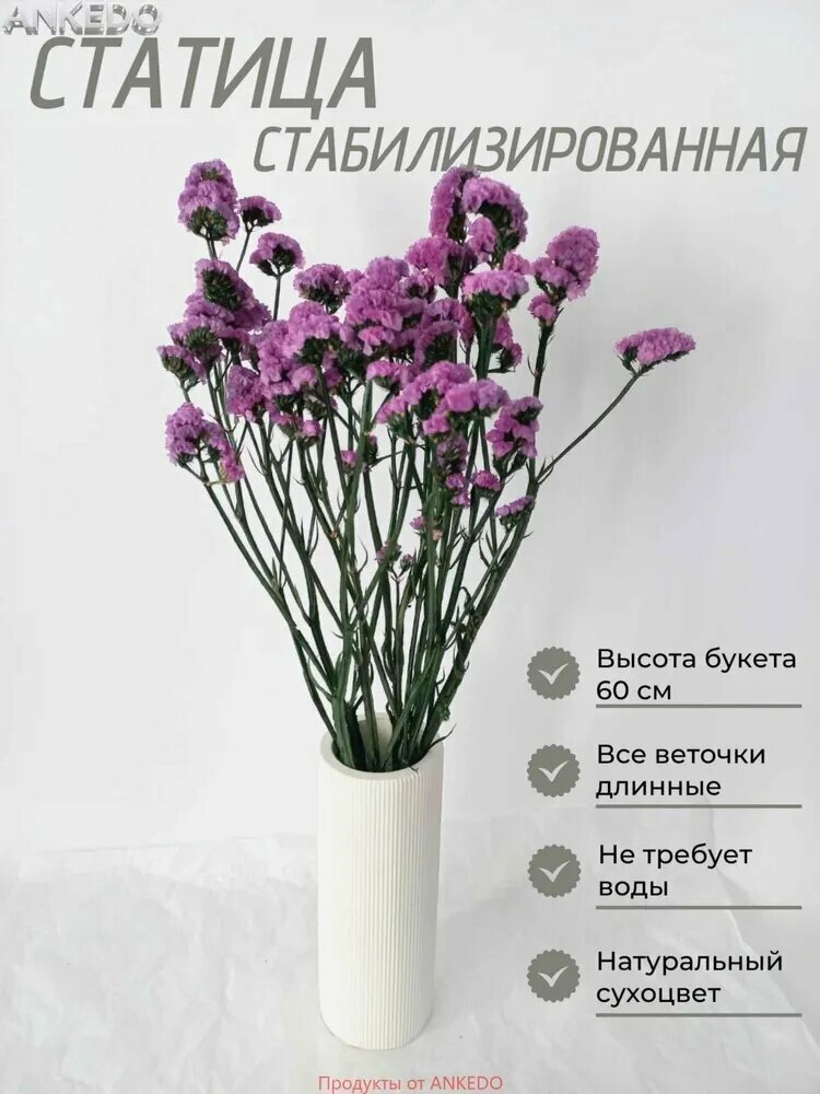 Сухоцветы Статица, 60 см