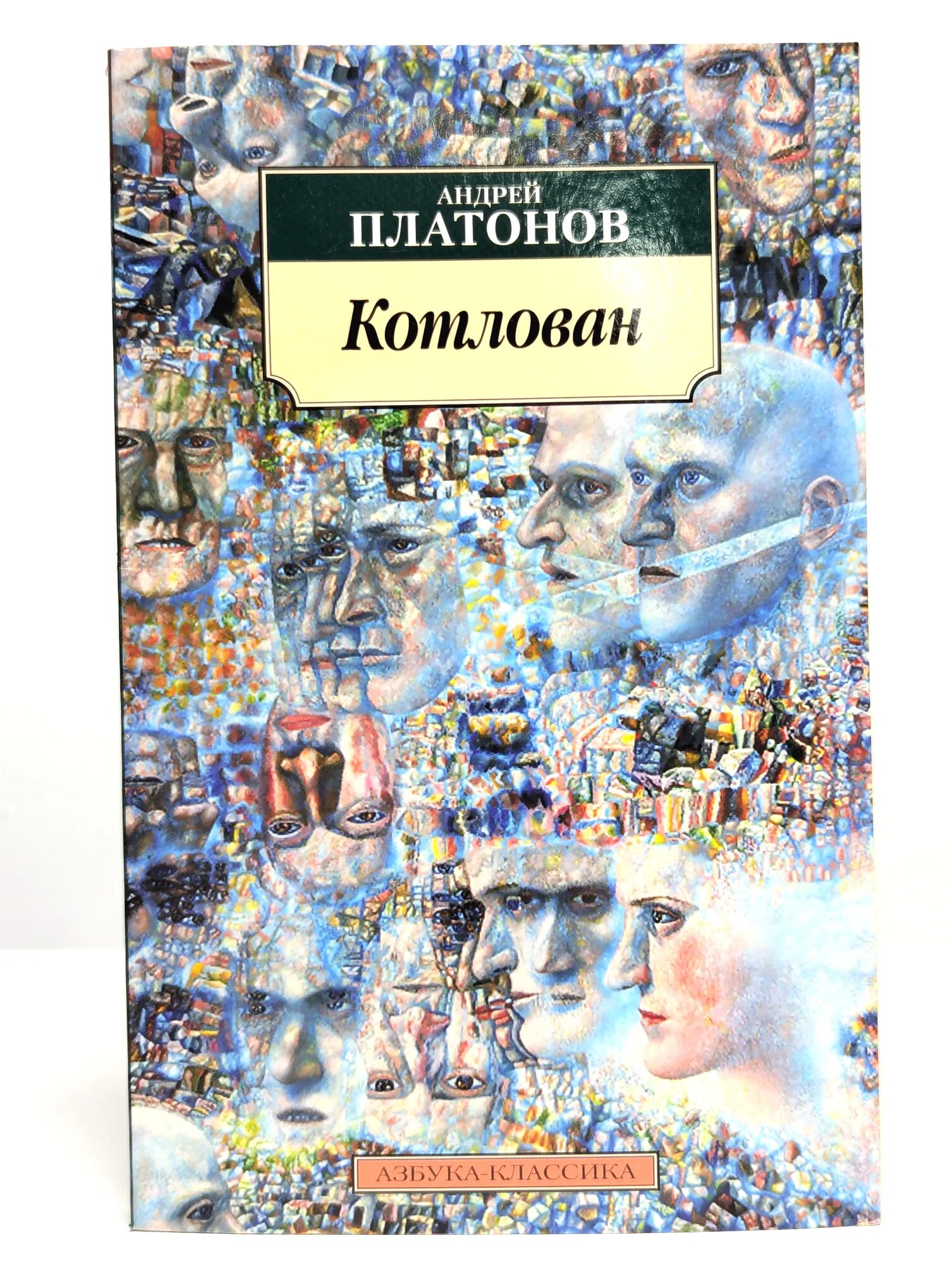 Котлован Платонов Андрей Платонович 2019