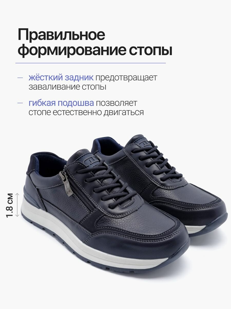Сапоги T.Taccardi