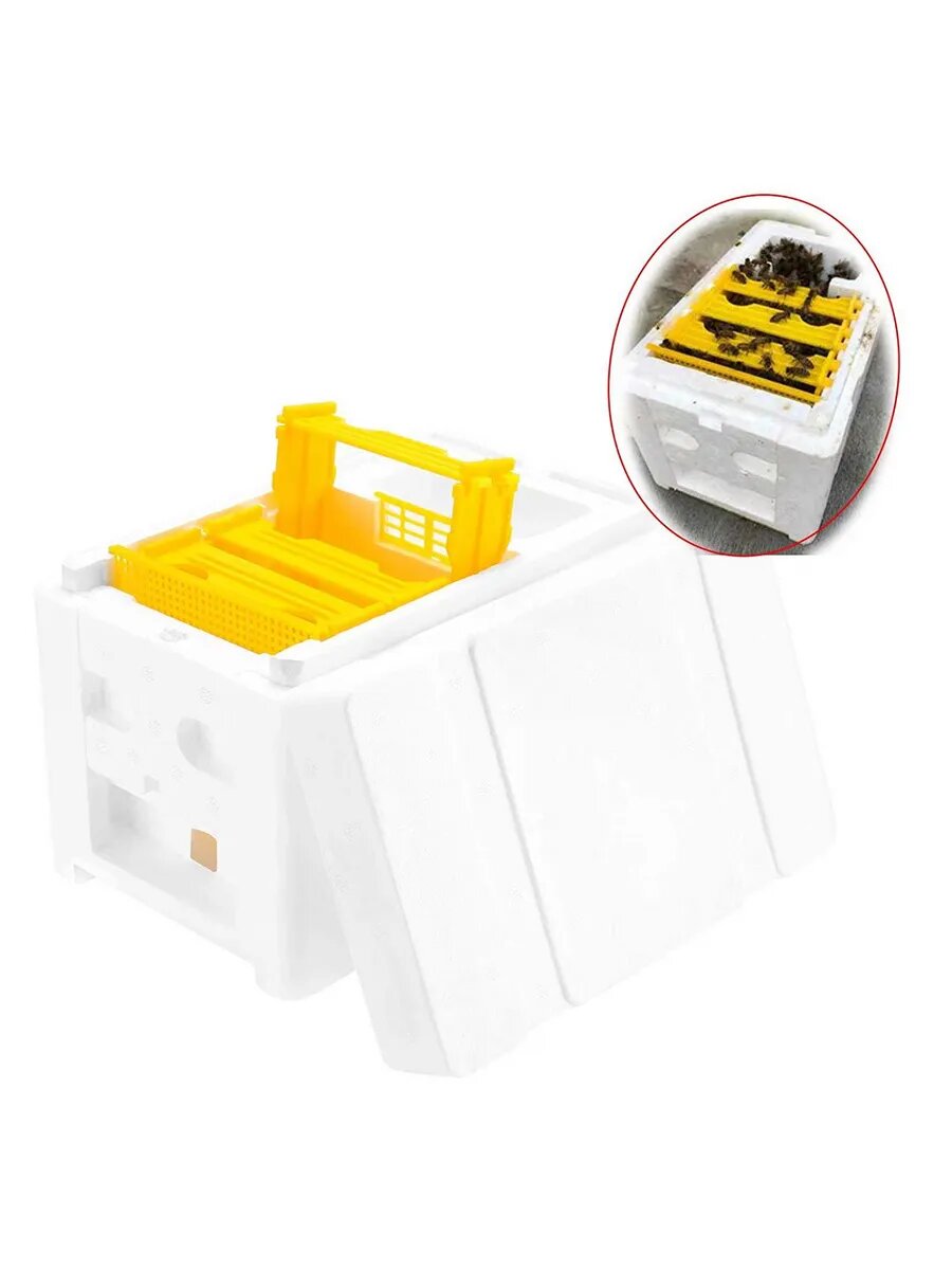 Улей для опыления пчелы-короли, пчеловодство, кейс