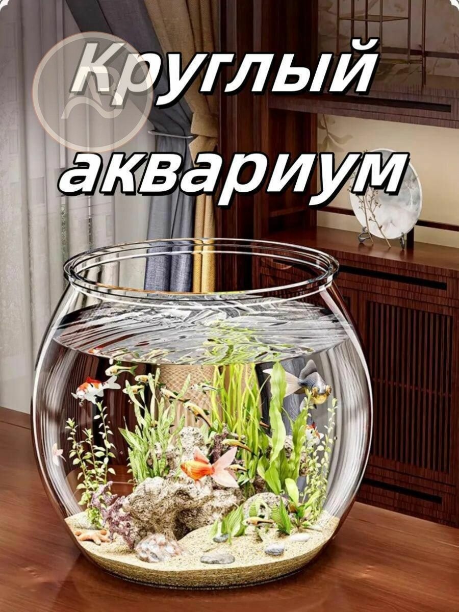 Аквариум-zhuangliuhui