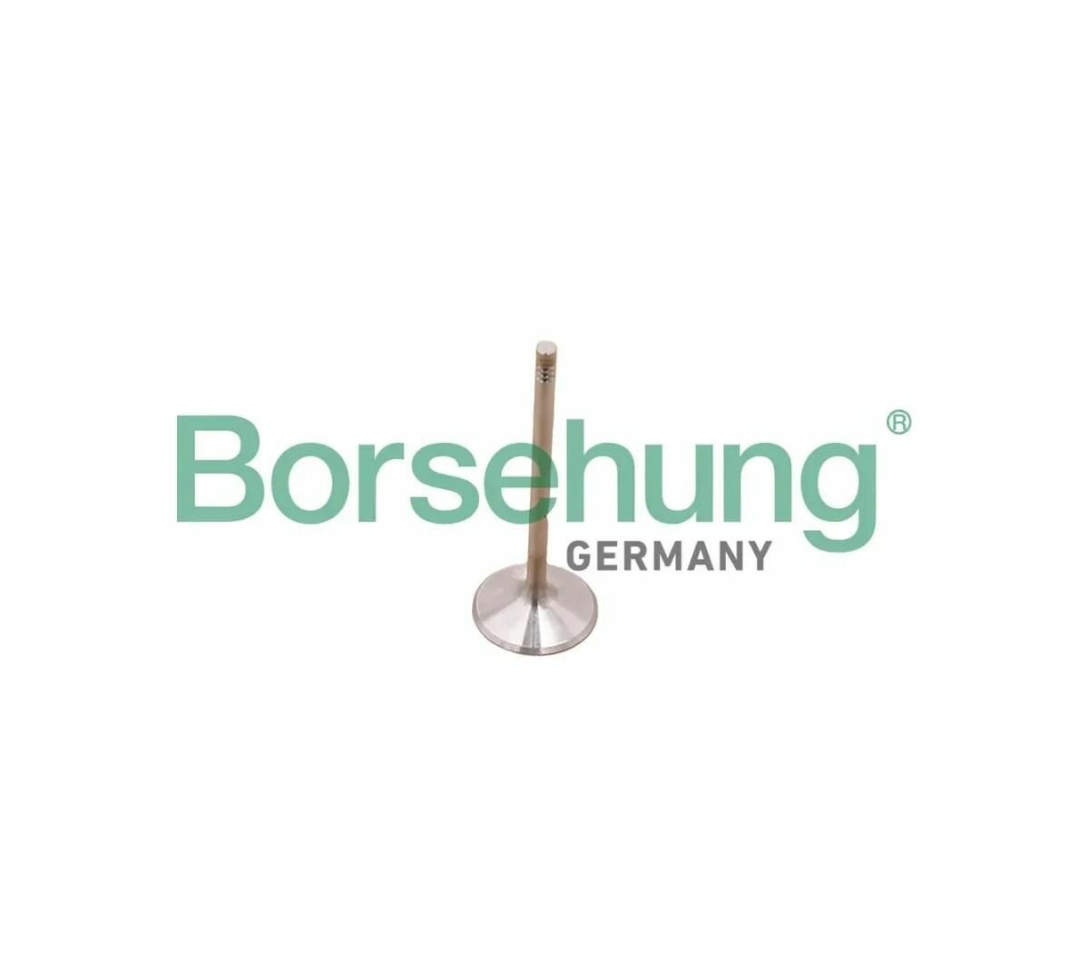 Клапан выпускной Borsehung B10348 EX 29.9x6x107.3 мм, Audi, Seat, Skoda, VW