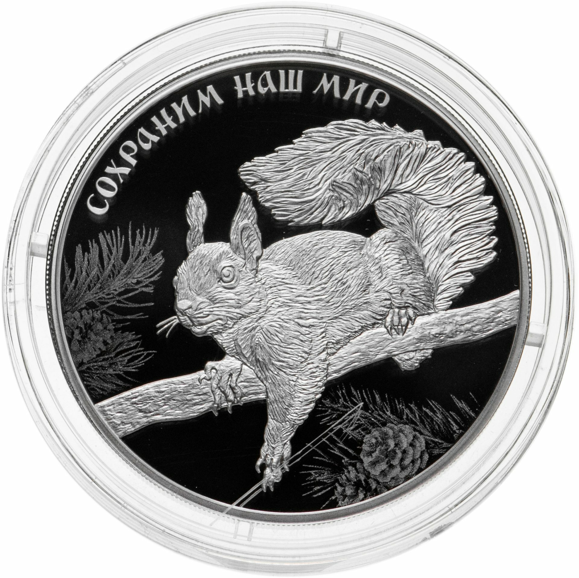 3 рубля 2023 СПМД Proof "Сохраним наш мир Белка обыкновенная", Серебро 925