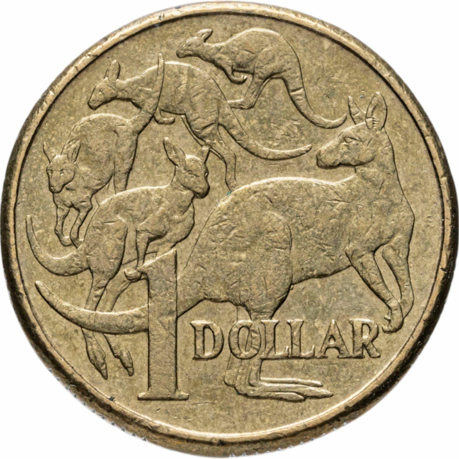 Австралия 1 доллар dollar 2013, Бронза, в сохранности VF-XF