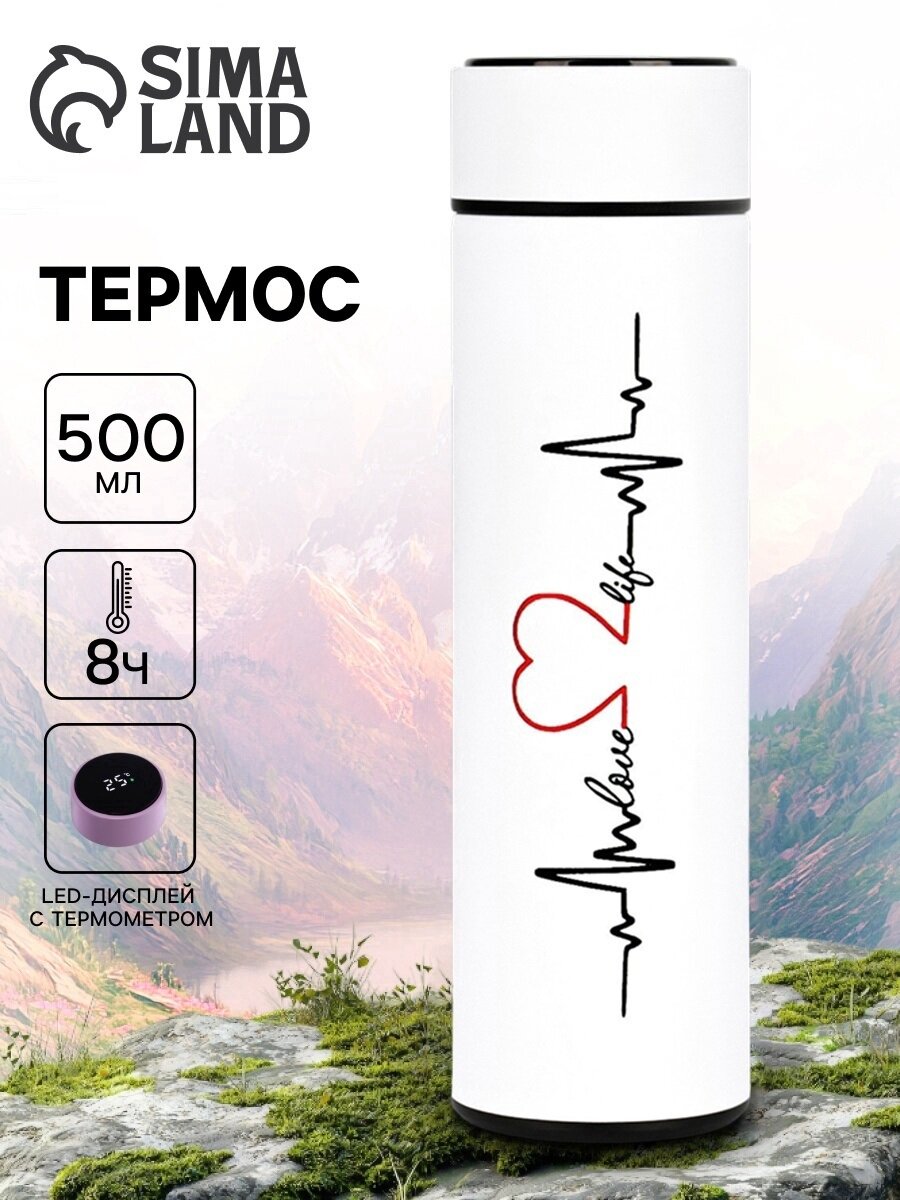 Термос с датчиком температуры Basic «Мастер К», 500 мл, сохраняет температуру до 10 ч