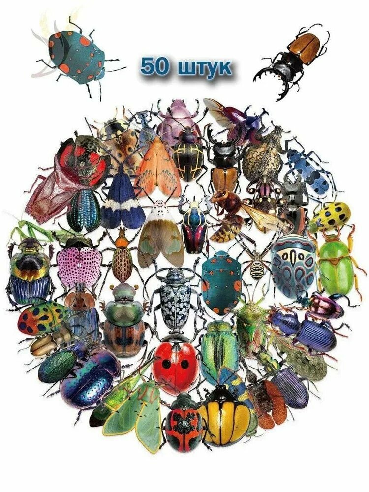 Наклейки с изображением насекомых/50шт